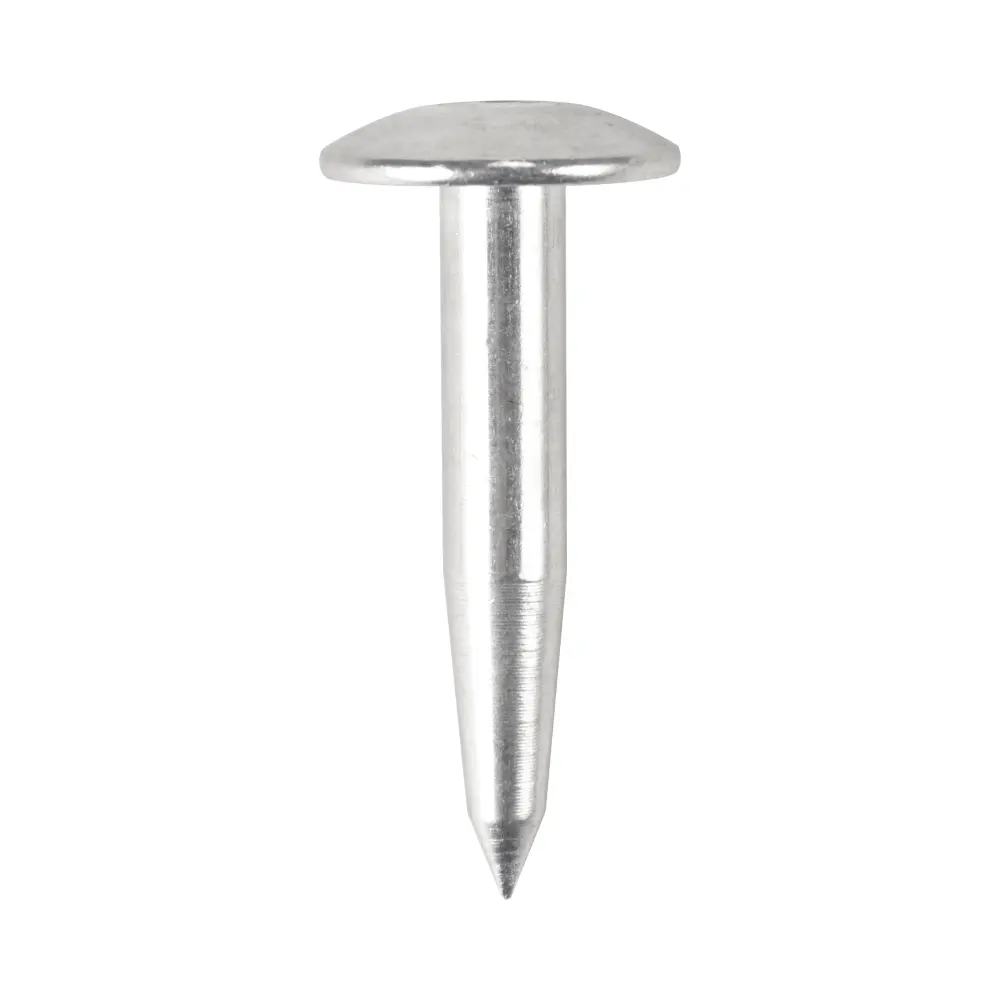 SN06 Surveying Nail | Survey Nail with Flat Round Head for Ground Marking